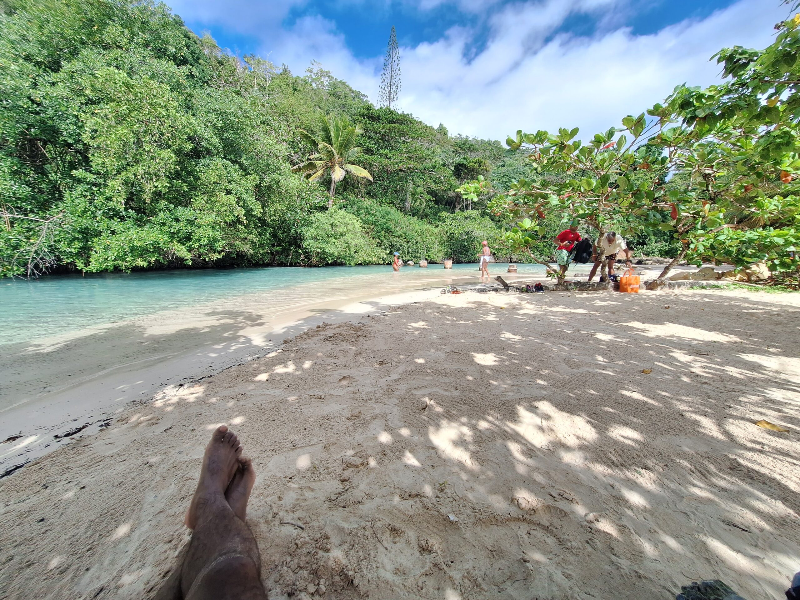 Playa Rincón y Caño Frío: Un Paraíso en Samaná – Excursionario